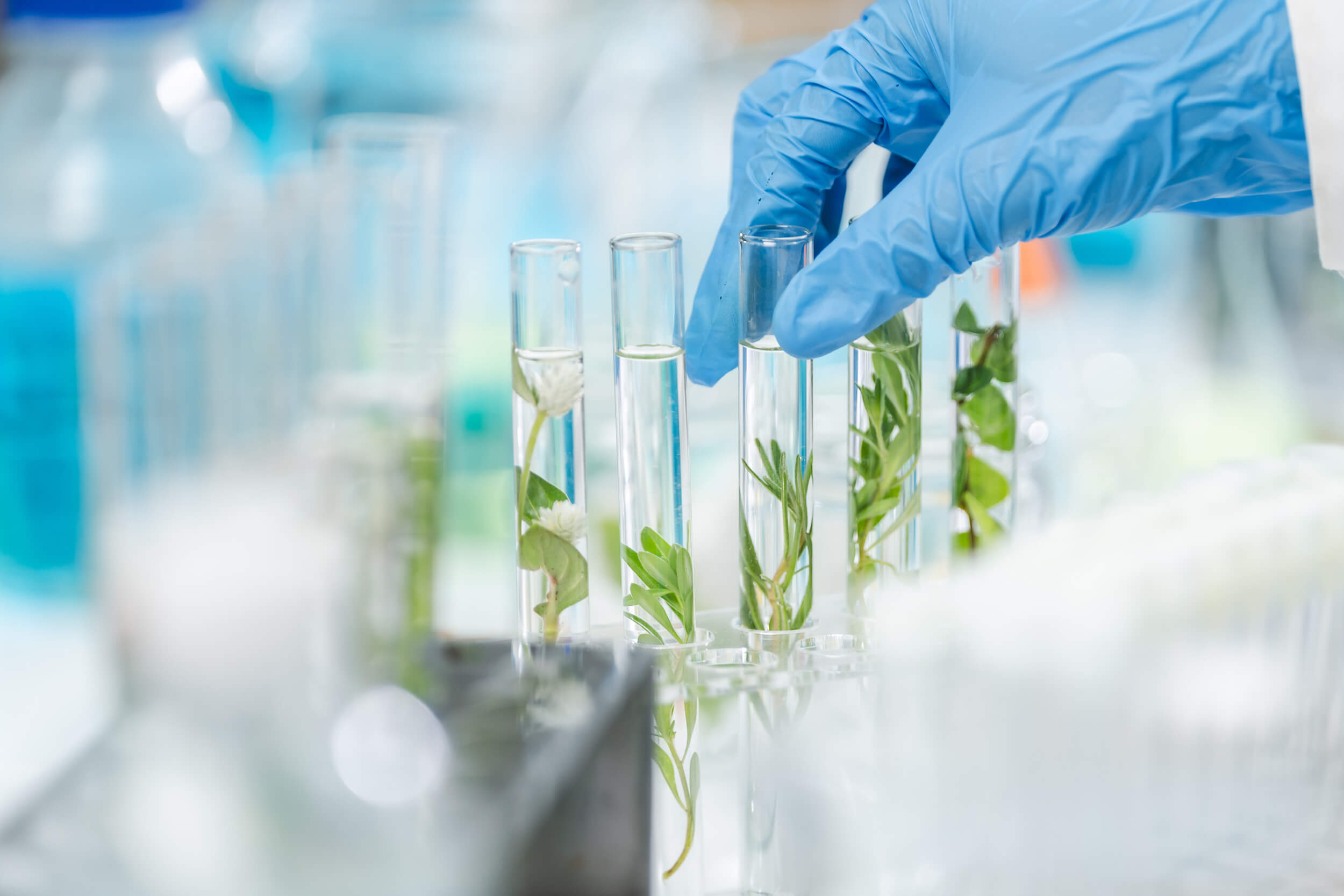 Complex Systems for Biologics Laboratory - ANSA